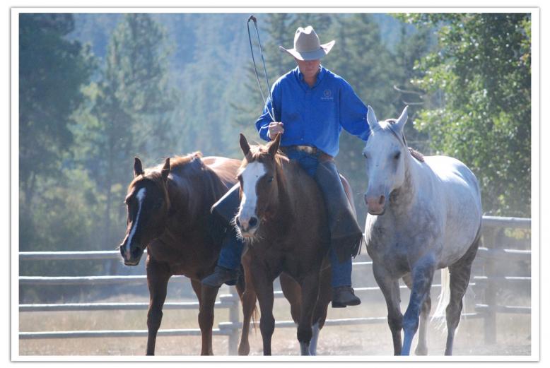 Jonathan Field – TRC